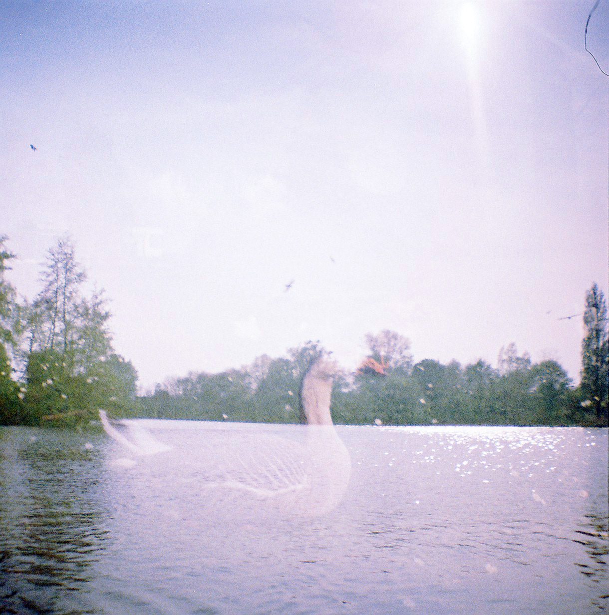 Schrijvers, hitte, schimmen · Uitgeverij Van Oorschot